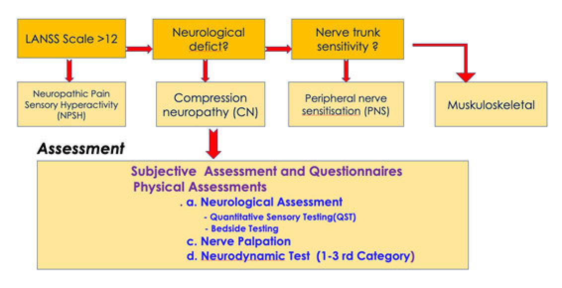 Cranial neuropathies by clinical classification | Crafta.org