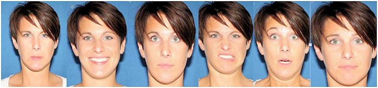 Add-on course Facial expression | Crafta.org